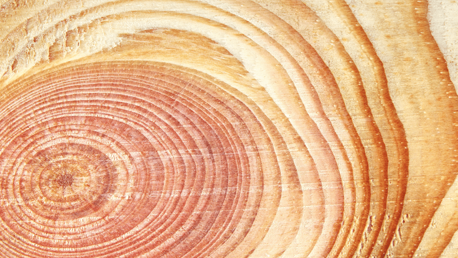 Exploring the Different Types of Wood Grain - Blog
